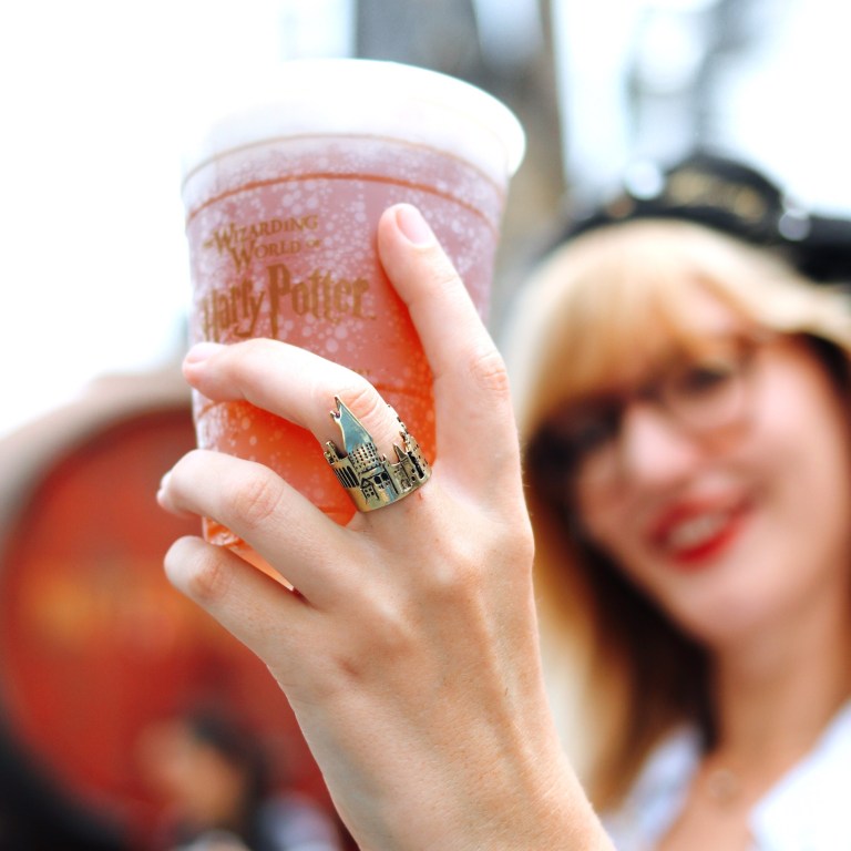 Accio FUN! | A Day Around the Wizarding World of Harry Potter at ...